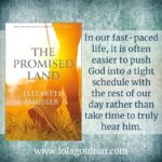 Book Review | The Promised Land by Elizabeth Musser